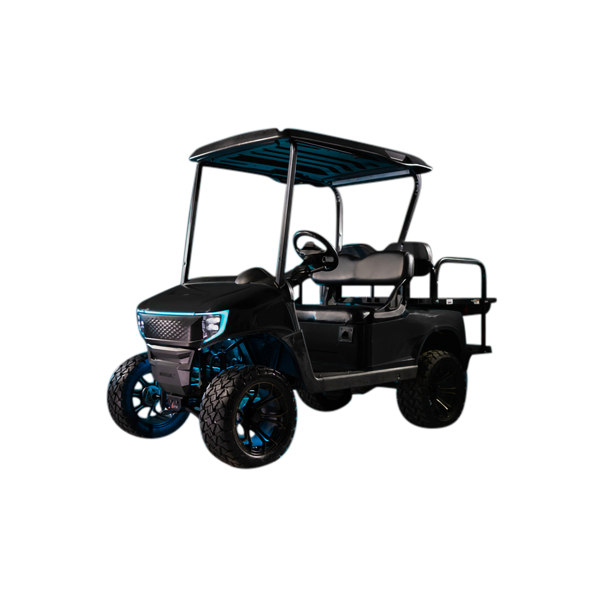 Apex EZGO RXV Body Kit from MadJax - Black Metallic – Converted Carts